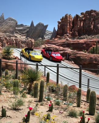 DCA Week: Cars Land Photo Gallery - Coaster101