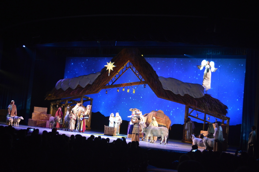 Holiday Season Recap: SeaWorld's Christmas Celebration 2015 - Coaster101