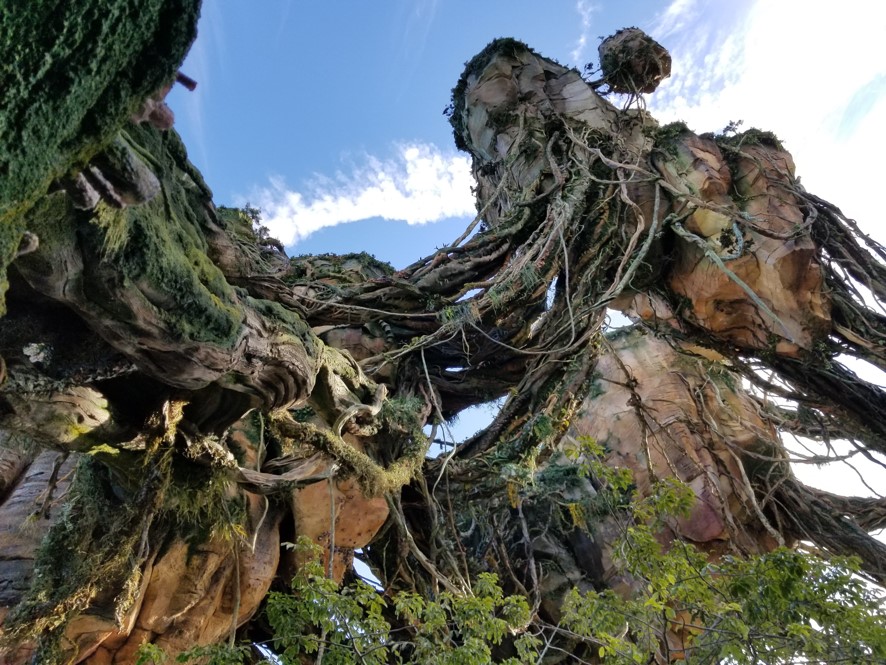 What Makes Avatar: Flight of Passage So Immersive - Coaster101