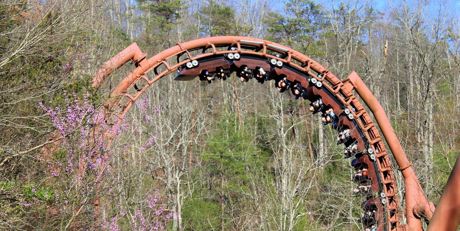 What's the Best Arrow Looper Left? - Coaster101