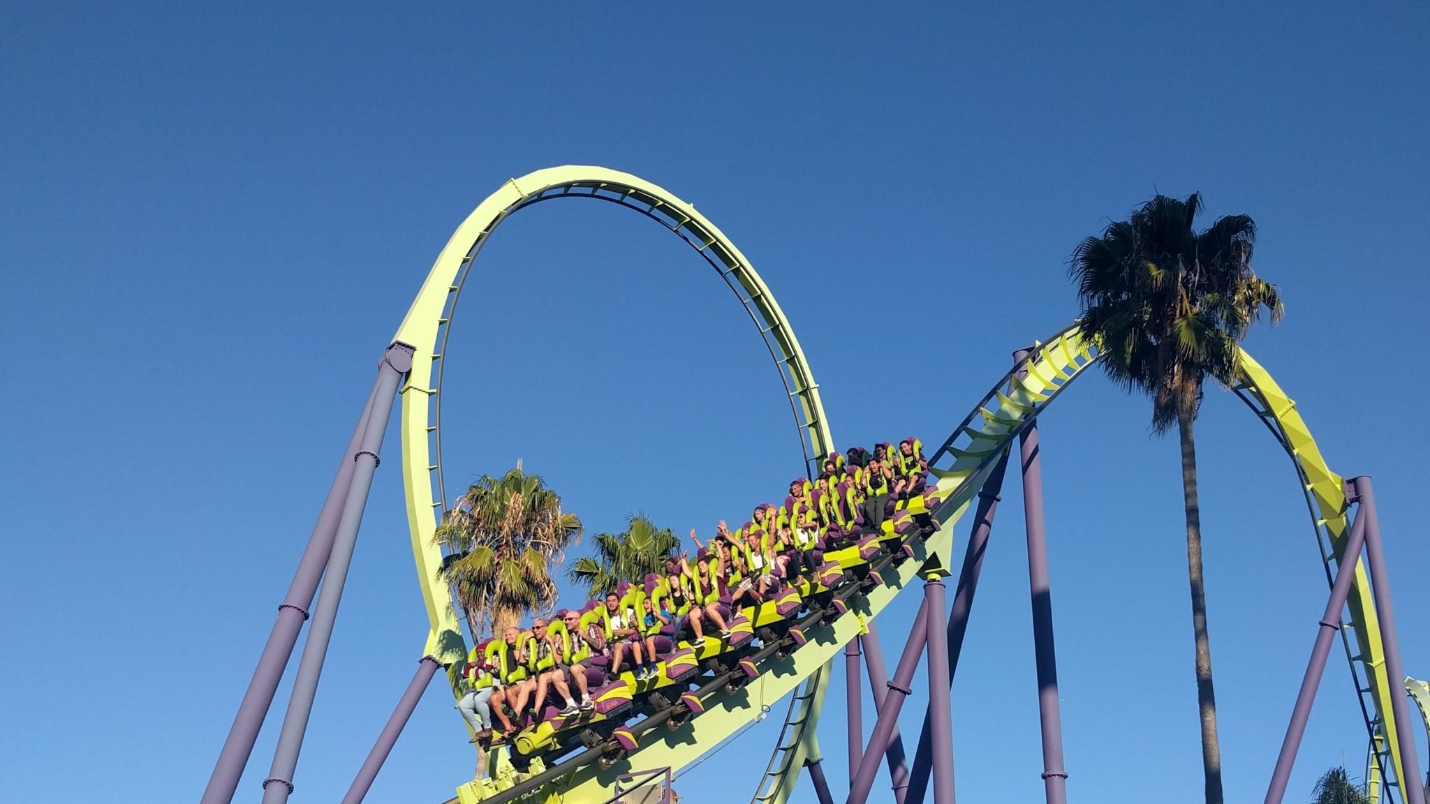 20 in 2020: Medusa at Six Flags Discovery Kingdom - Coaster101