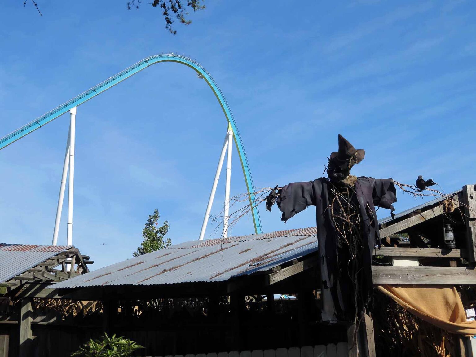 Behind the Screams of SCarowinds' Two New Mazes - Coaster101