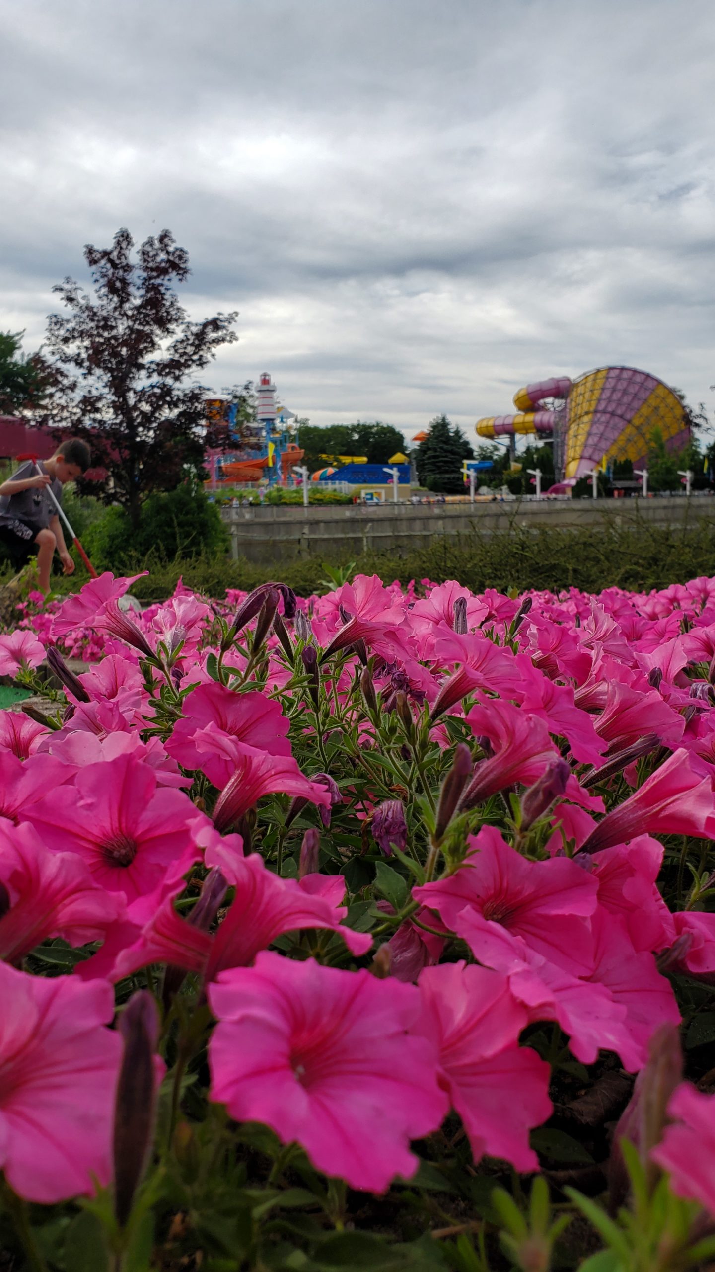 My Detailed Review of the Highly Scrutinized and Often Misunderstood ...