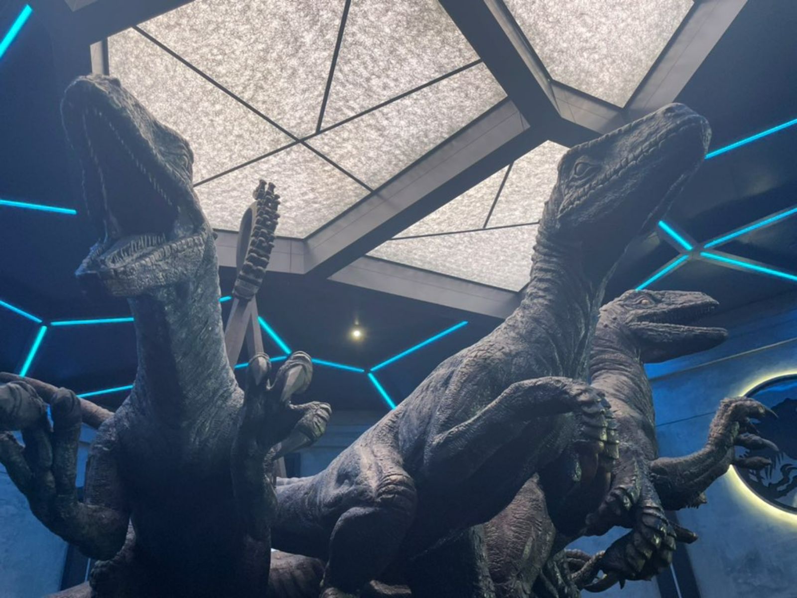 A Love Letter to VelociCoaster - Coaster101