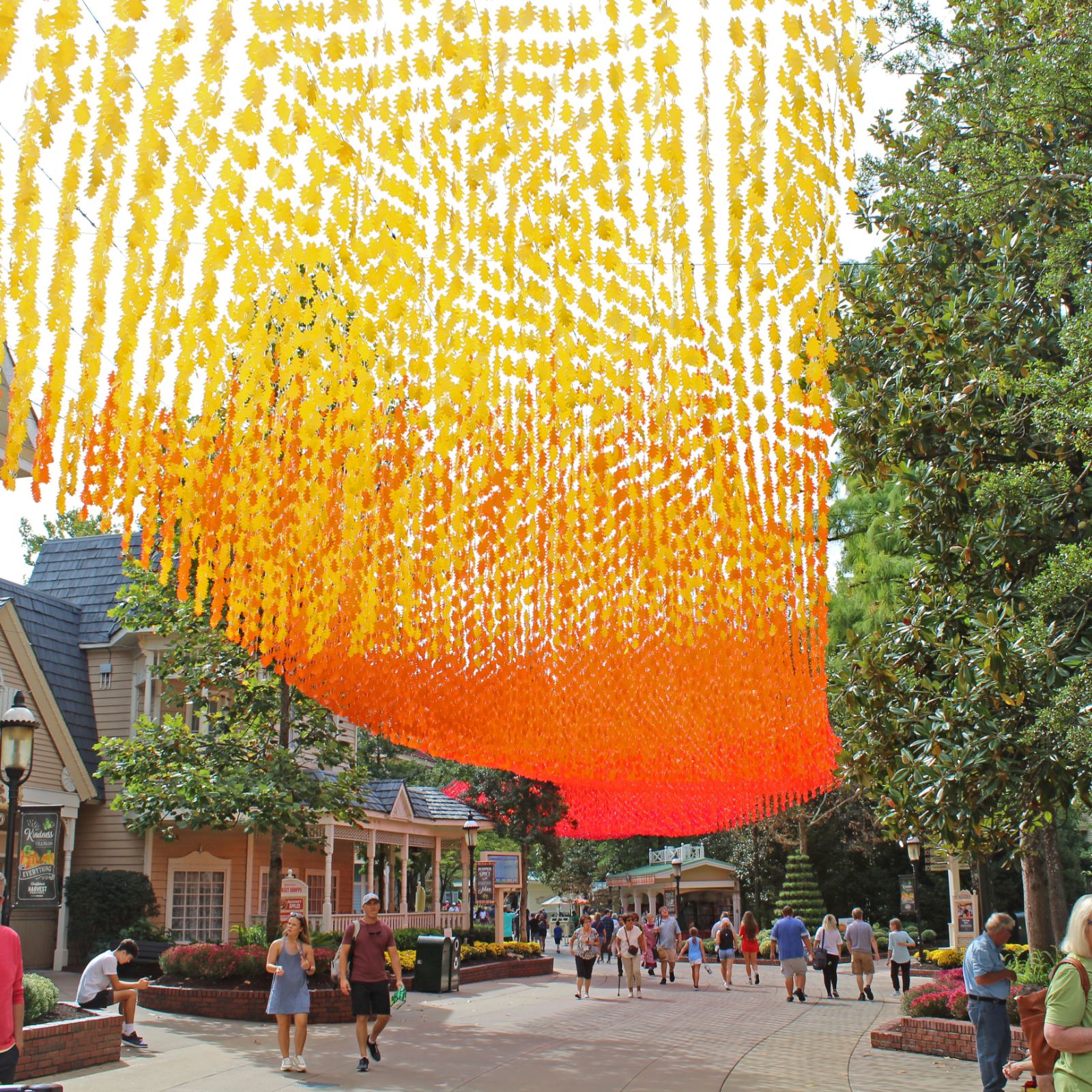 Pumpkins and Coasters Galore at Dollywood Harvest Festival 2023 ...