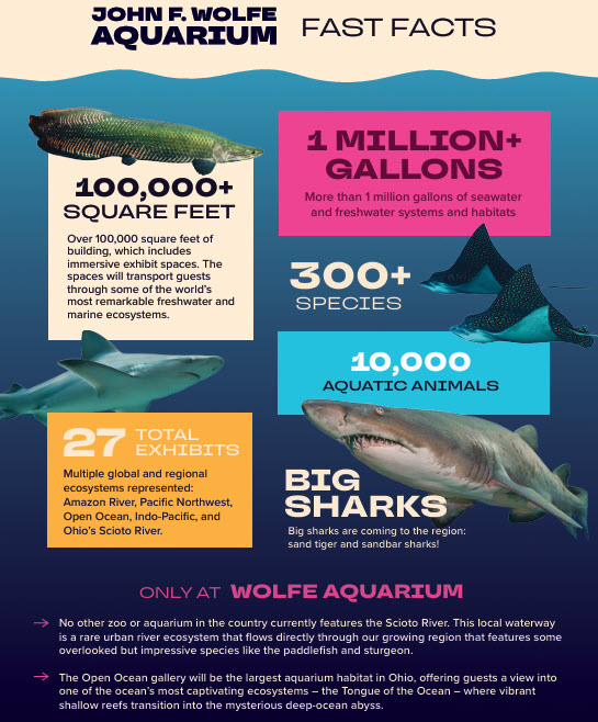 Columbus Zoo’s New Aquarium Vision Explained - Coaster101